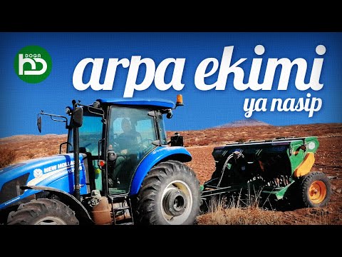 Arpa Ekimi, Yatmayan Arpa Ekimini Yaptık. Mibzerle Arpa Ekimi Nasıl Yapılır? Ya Nasip (tarım/2)