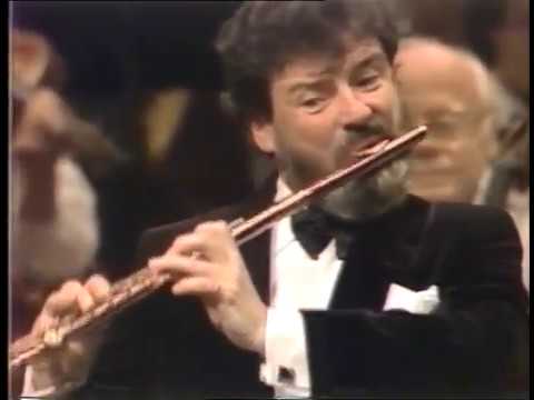 Flute Concerto in D Major No.2 K.314 W.A.Mozart II and III - YouTube