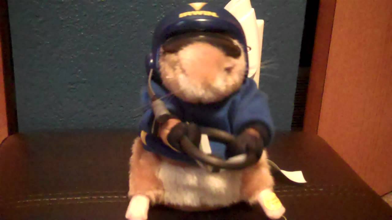 ***JAMIE MCMURRAY HAMSTER*** (Dancing Hamster) - YouTube