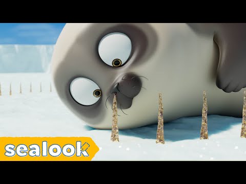 Best Snotcicle EverㅣSEALOOKㅣEP.19