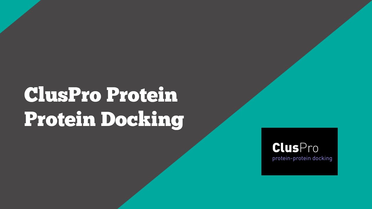 Bioinformatics Cluspro Protein Protein Docking Biocode Ltd Youtube
