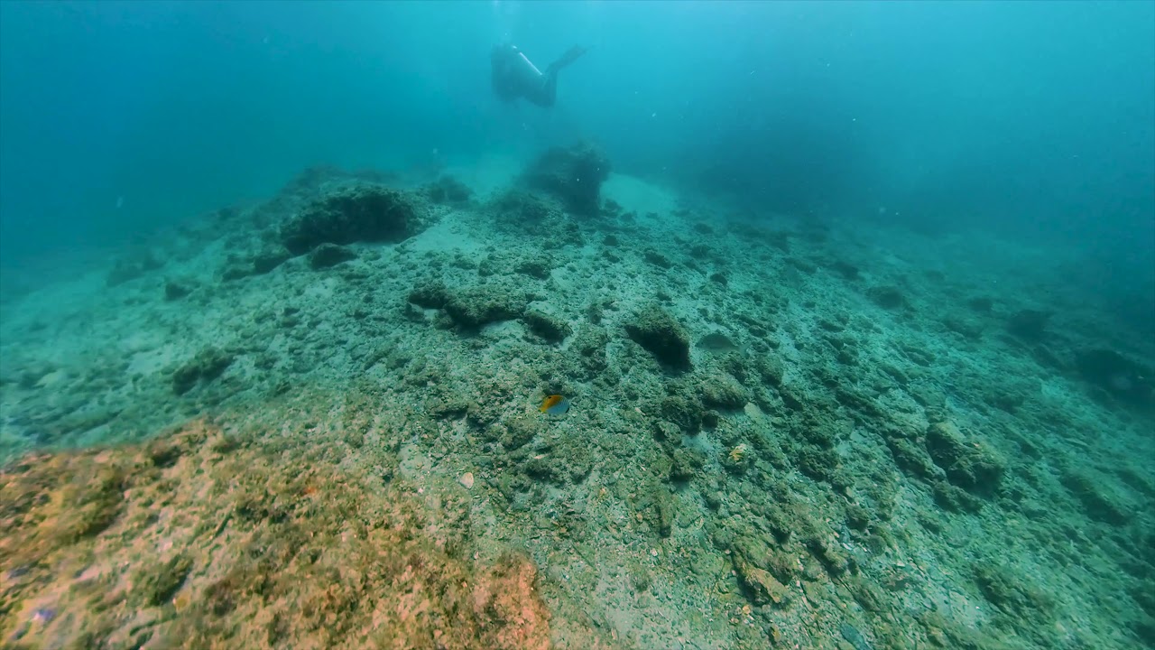 Insta360 One X - 2019 Women's Dive Day - Scuba Dive at Tweed Heads NSW ...