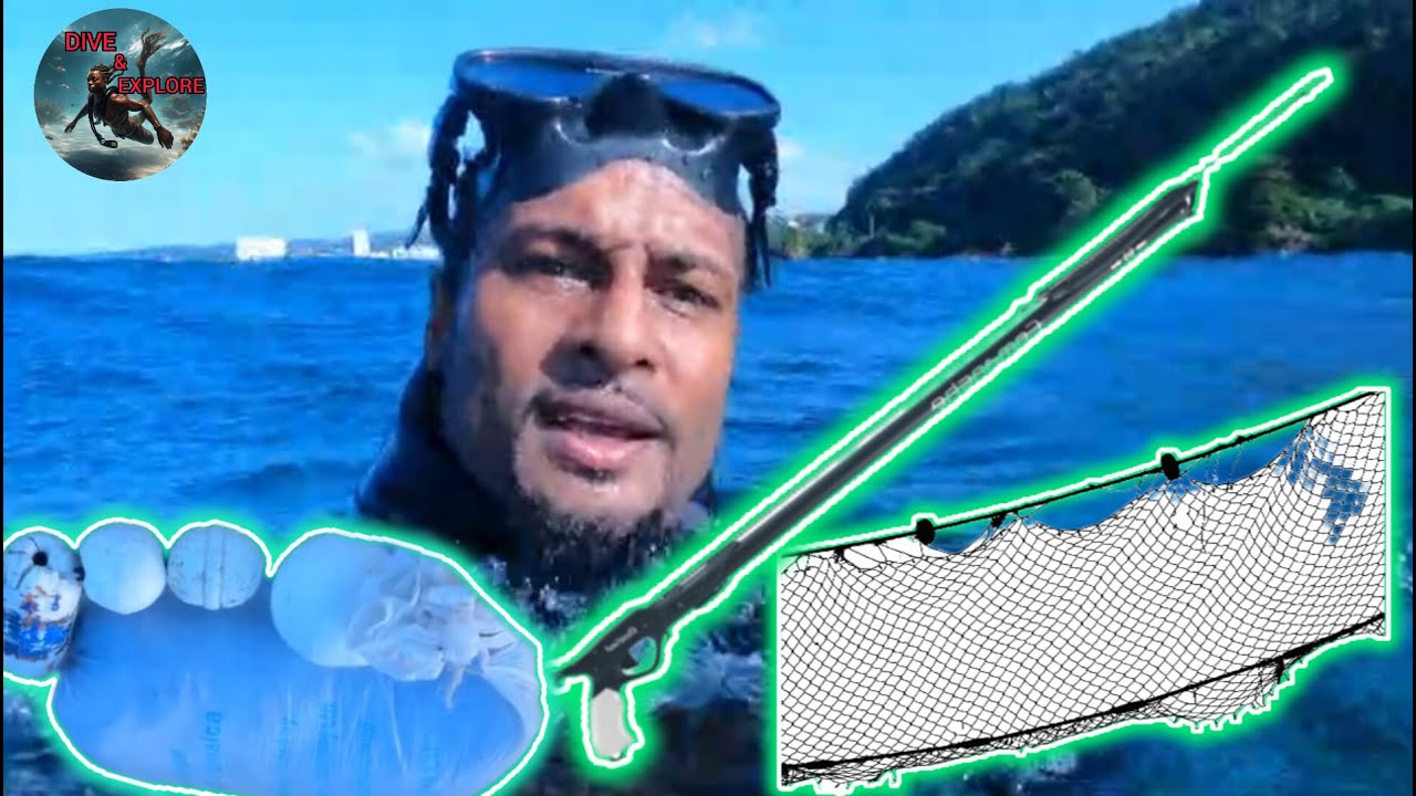 NET & SPEARFISHING COMBO//SOLO DIVE - YouTube