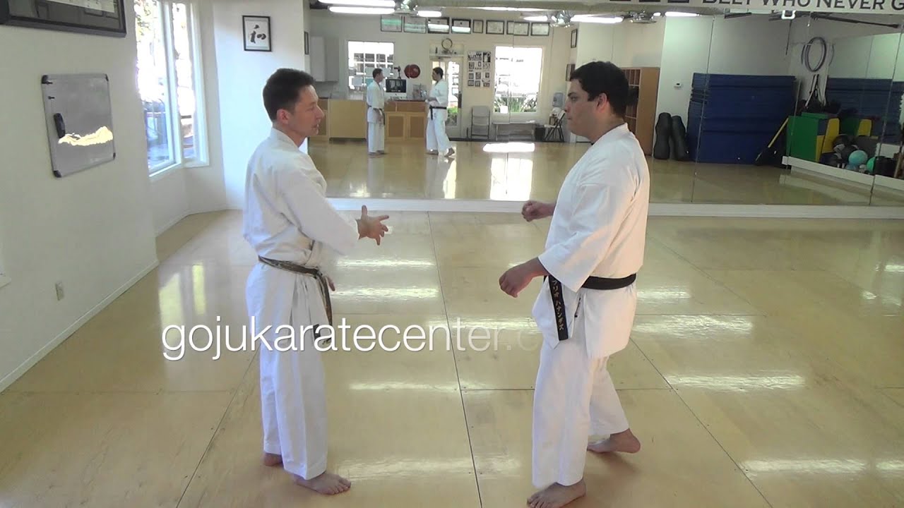 Seisan Kata Analysis - YouTube