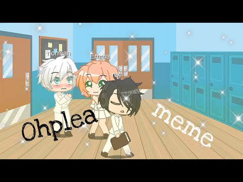ohplea meme ||norray tpn|| - YouTube