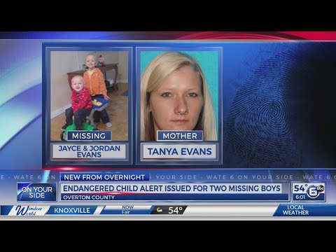 Endangered child alerts issued for two Overton County boys