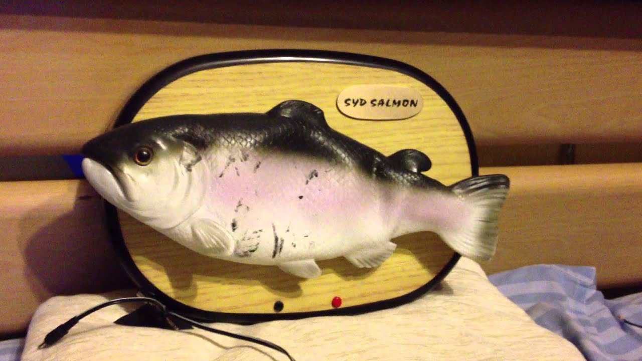 Singing Fish - SYD SALMON - broken - YouTube