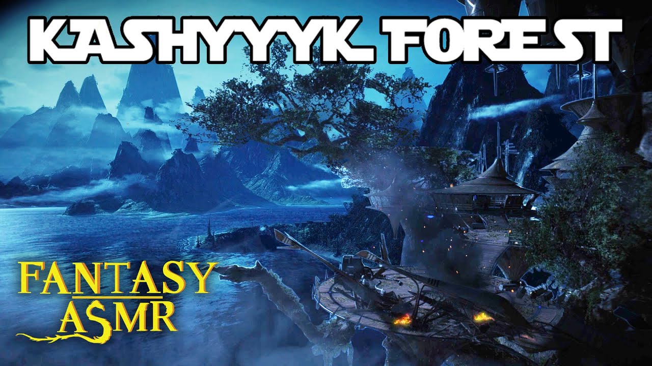 🌲Ambience ASMR | Kashyyyk Forest🌲 Wookie Noises, Forest Wildlife (🔫Star ...