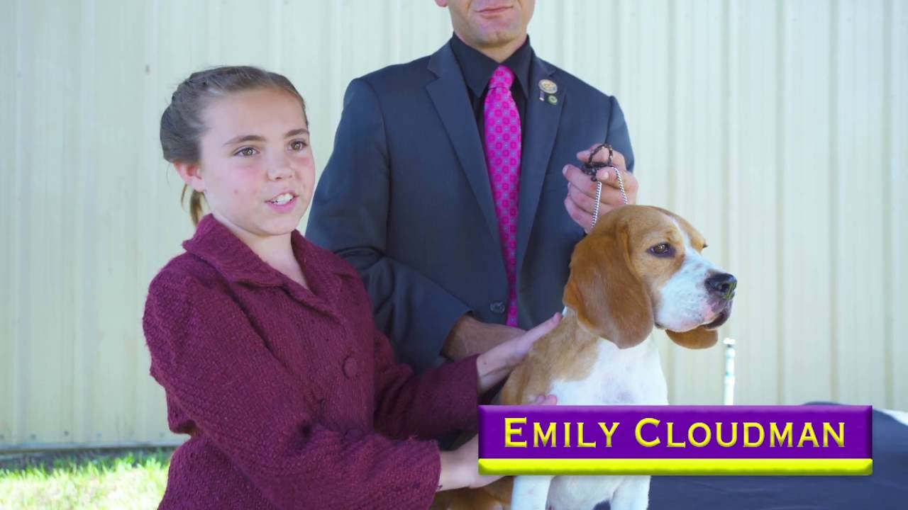 Road to Westminster (RTW): Junior Handler Emily Cloudman - YouTube