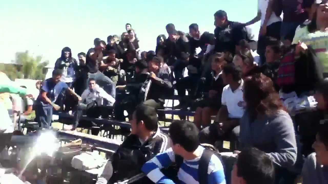 la Perrera de cetis 156 - YouTube