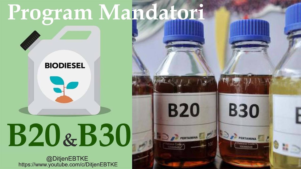 Progam Mandatori B20 dan B30 - Bahan Bakar Nabati Biodiesel - YouTube