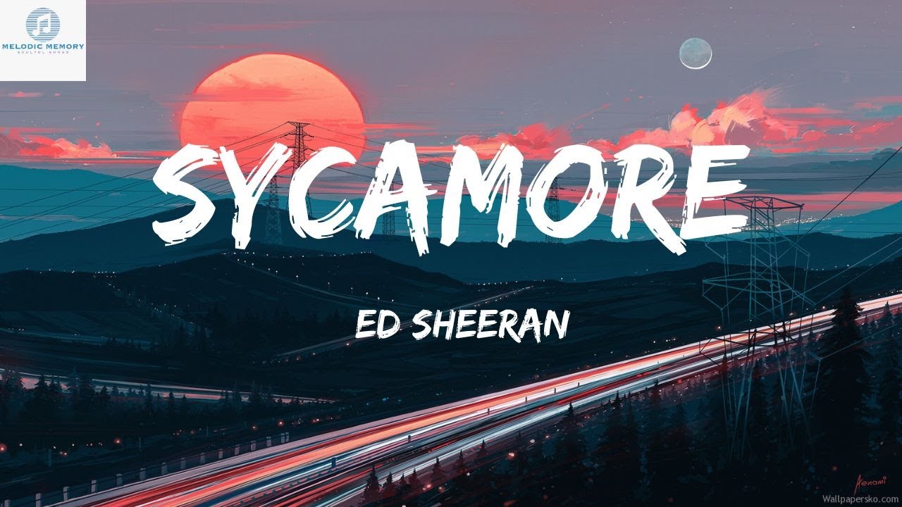 Sycamore - Ed Sheeran (Official Lyrics Song) | Sycamore Lyrics Song ...