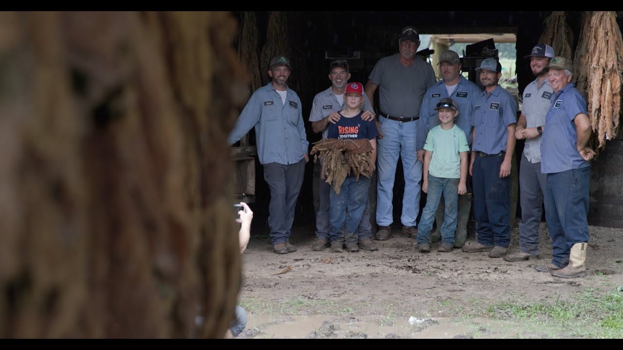 Perique Tobacco - Hester, Louisiana - YouTube