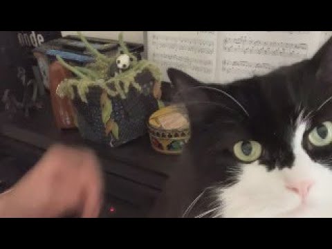 Extreme - Who Cares? (piano intro | sheet music) - YouTube