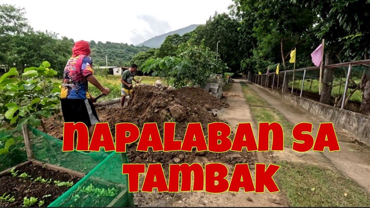 2 lang ang pumasok ngayon | Nag ayus sila ng tambak, ilan pa kaya ang ...