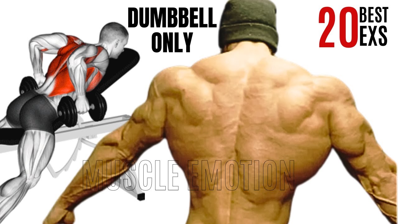 20 BEST BACK EXERCISES WITH DUMBBELLS ONLY AT HOME OR GYM / MUSCULATION ...