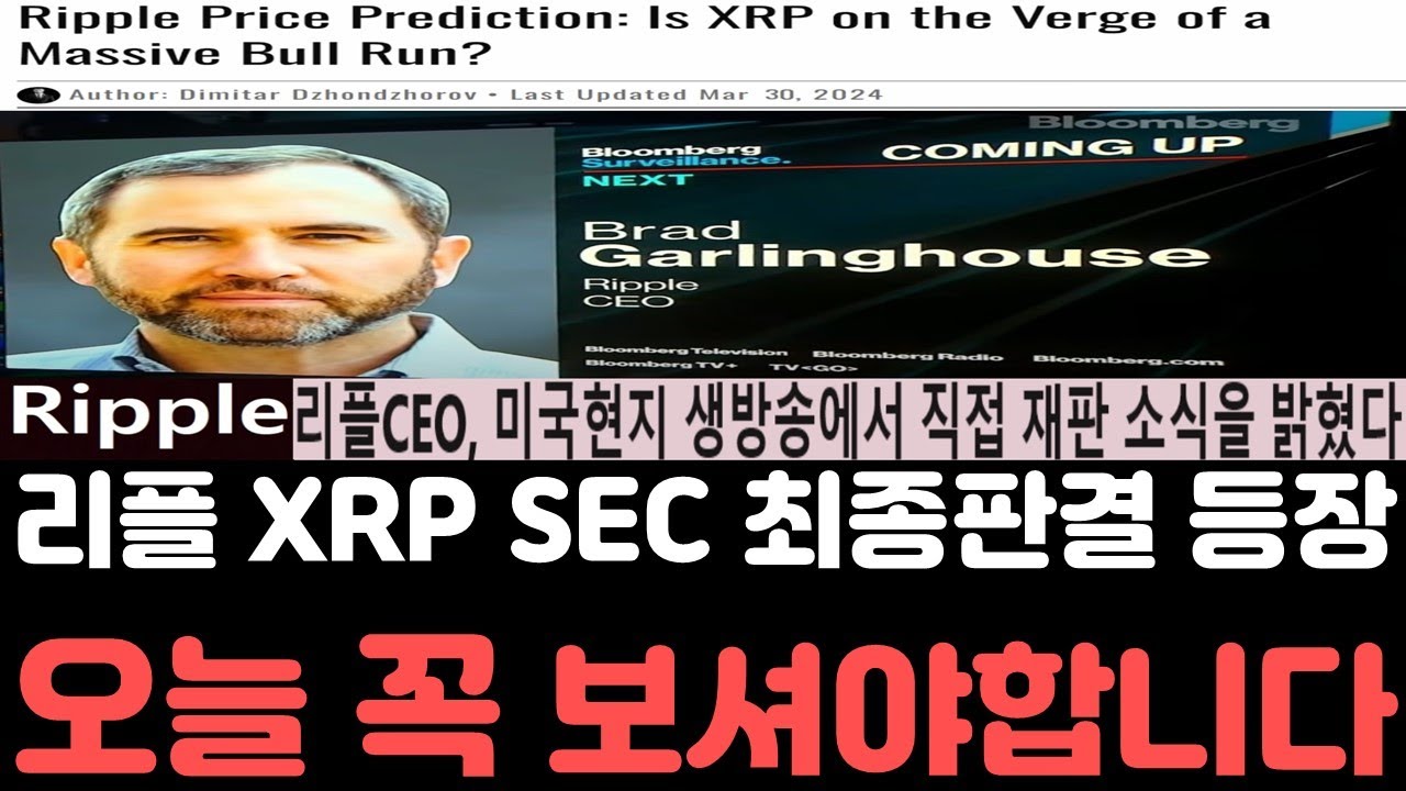 리플전망 리플 Xrp Sec 재판소송 최종판결 의견 직접밝힌 리플ceo 설마 오늘 오늘 영상은 꼭 보셔야합니다 리플전망 리플호재 리플급등 리플코인 리플소송