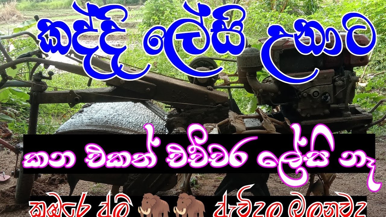 එන්න මාත් එක්ක කුඹුර මඩ කරනව බලන්න subscribe කරල සෙට් වෙන්න නිවාඩු ...