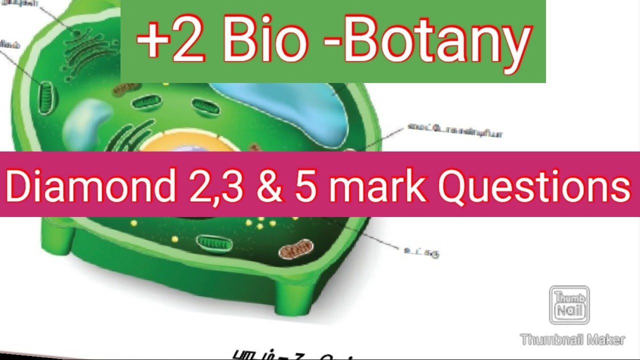 +2 Bio-Botany very important 2,3 and 5 marks Questions - YouTube