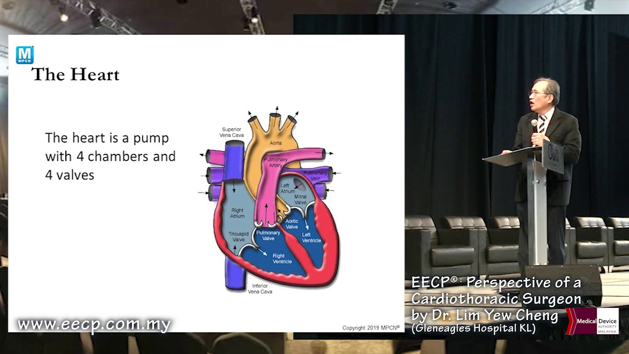 EECP | Perspective of a Cardiothoracic Surgeon by Dr.Lim Yew Cheng ...