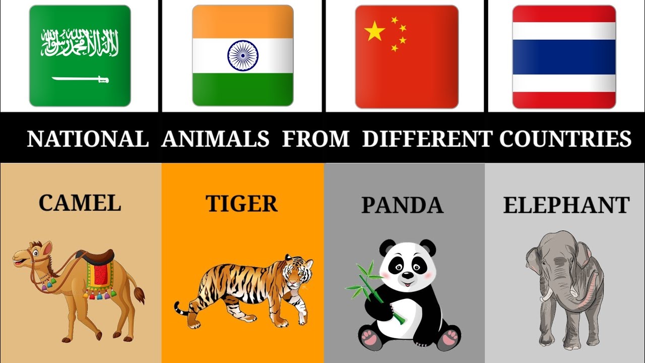 National animals from different countries - YouTube