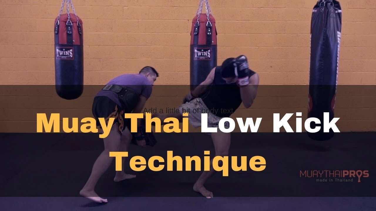 Muay Thai Low Kick Technique - YouTube