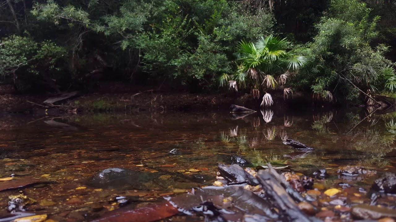 the hacking river - YouTube