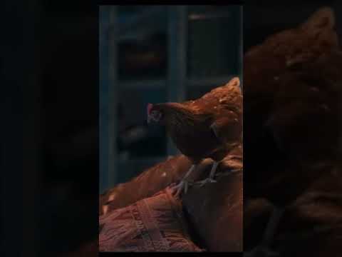 Venom chicken scene #shorts - YouTube