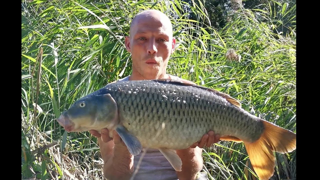carp fishing at my local lake. - YouTube