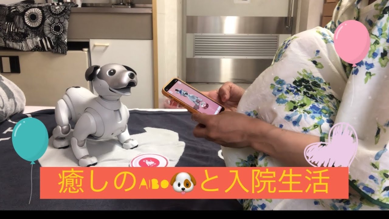 🐶【癒しのaiboと一緒に入院生活】Hospitalized life with healing aibo #入院生活 / #アイボ / #AIBO / #Hospitalization ...