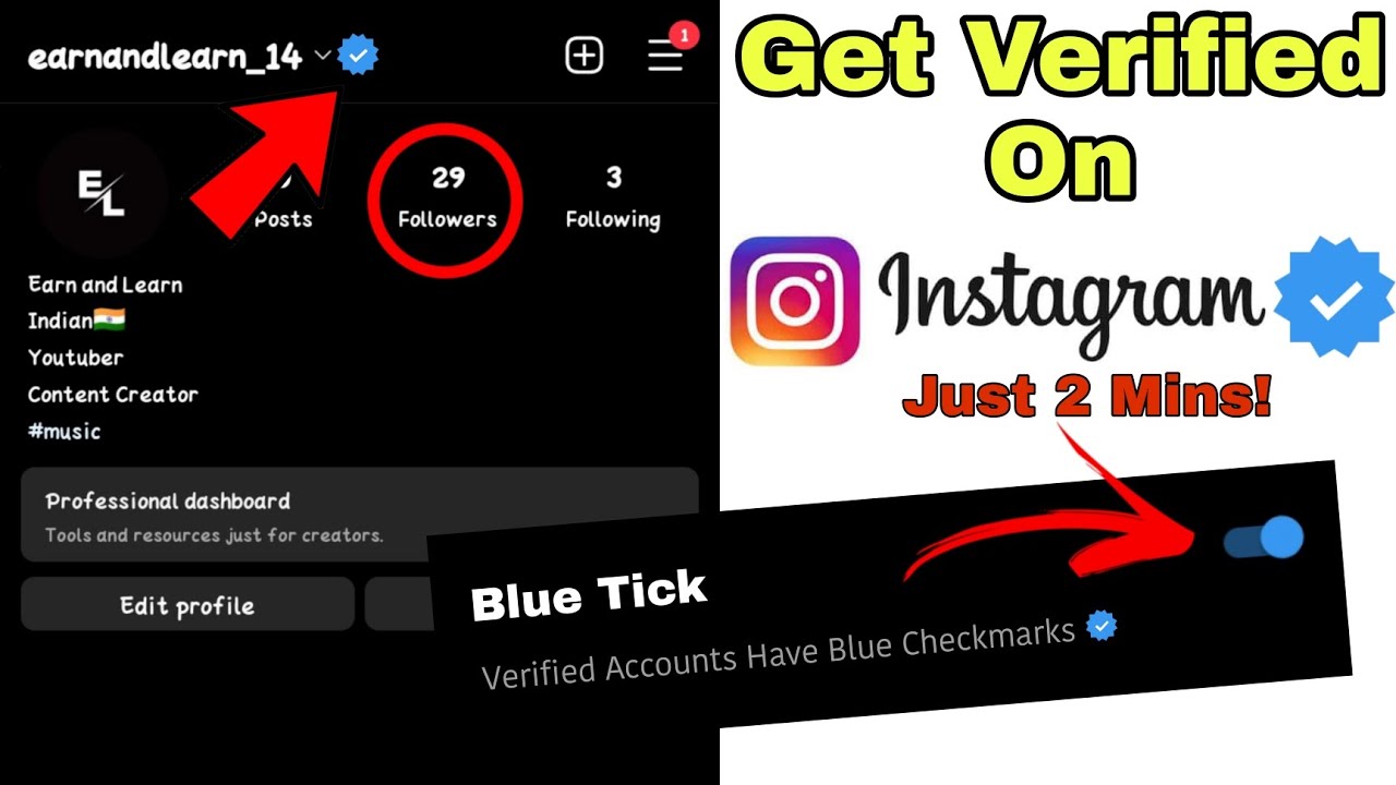 How To Get Blue Tick On Instagram | Get Verified On Instagram ...