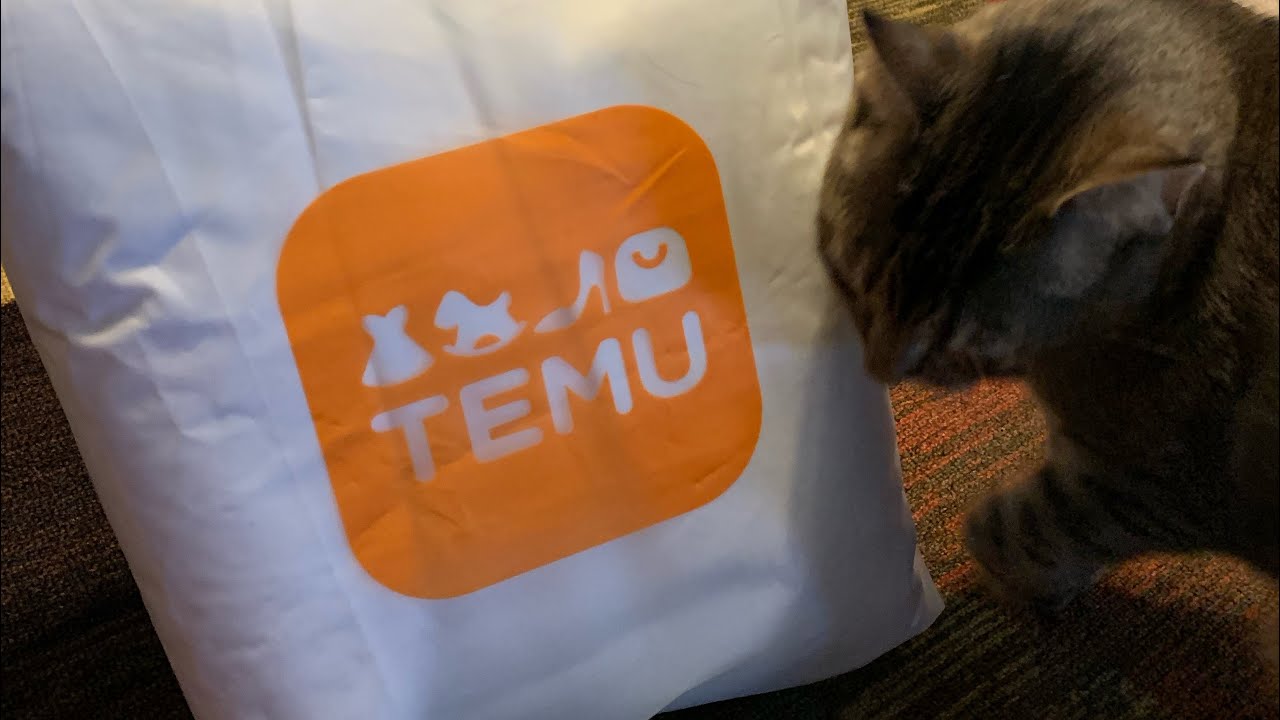 My Late TEMU order finally arrived. What do I have to show you today ...