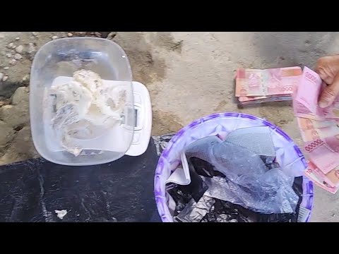 DISINI SAYA CERITAKAN SEBAGIAN ; LIKA - LIKU JDI PENGEPUL SARANG BURUNG ...
