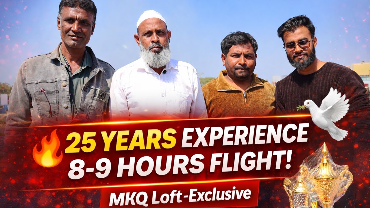 25 ವರ್ಷಗಳ ಪಾರಿವಾಳ ಅನುಭವ | ಅವಮಾನದಿಂದ ಸಾಧನೆಗೆ | MKQ Loft ಹರ್ಷದ್ ಮುನ್ನವರ್ ...