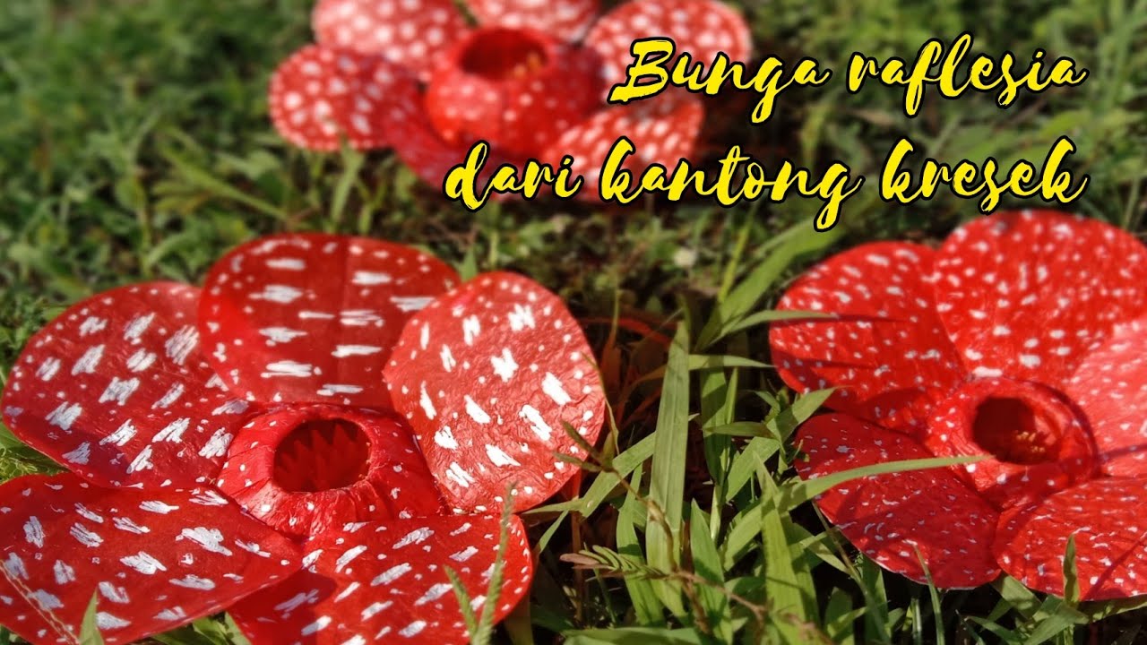 Cara Membuat Bunga Raflesia dari Plastik Kresek/ how to make plastic ...