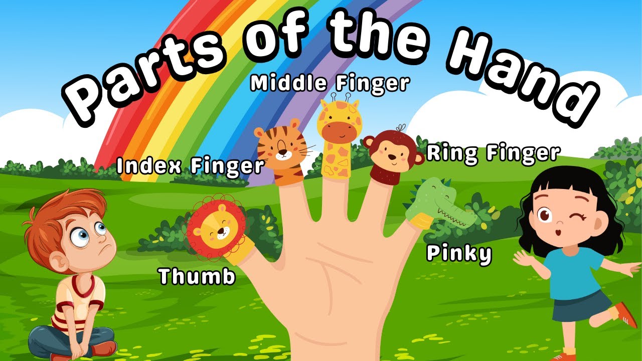 Parts of the Hand | Kids Vocabulary | Funny with Bunny - YouTube