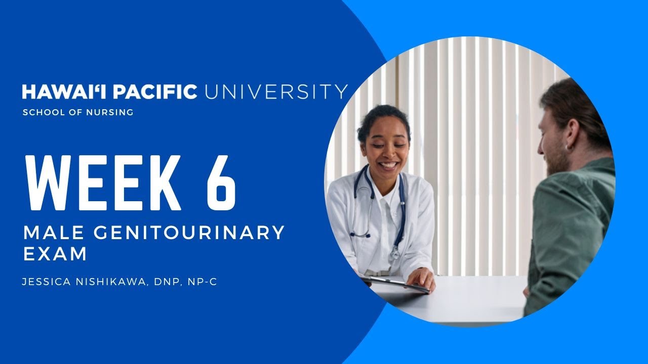 Male Genitourinary System Lecture - YouTube