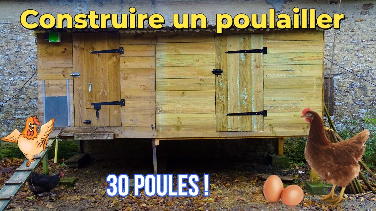 Comment construire un poulailler. Poulailler en bois 30 poules pour ...