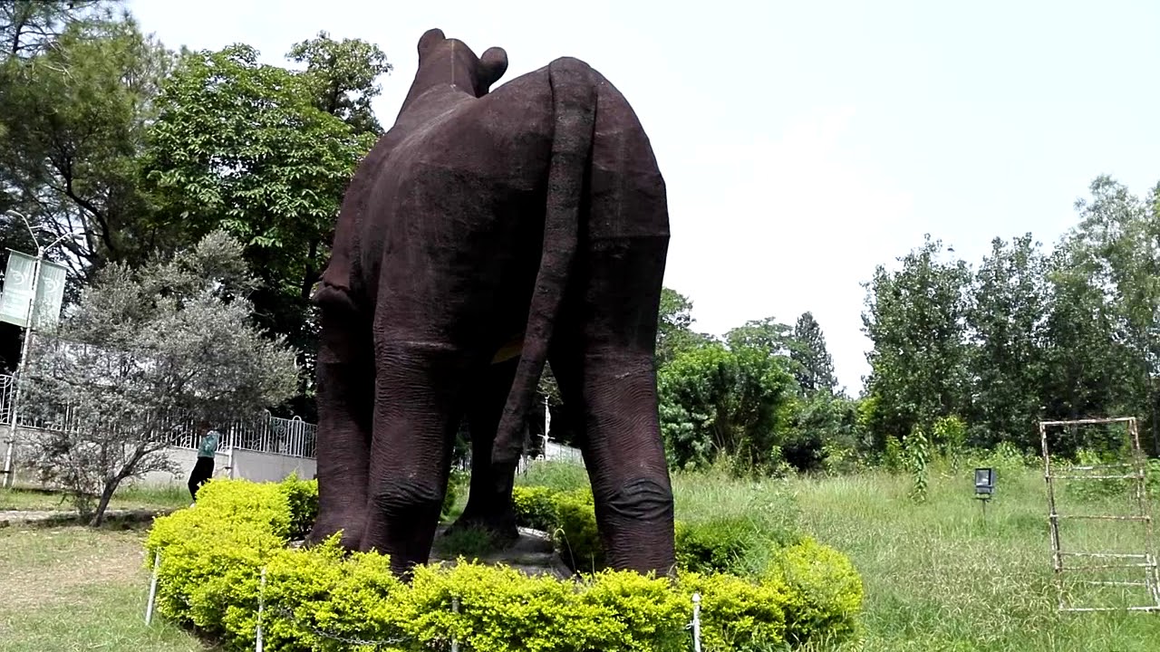 Baluchitherium. Pakistan Museum of Natural History. - YouTube
