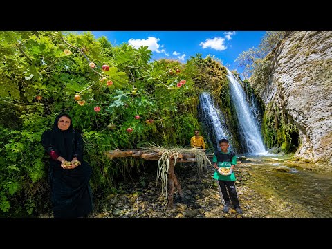 ⛰️🌿 Nomadic Family Adventure | In Zagros, They Risked Themselves for Wild Figs!😱