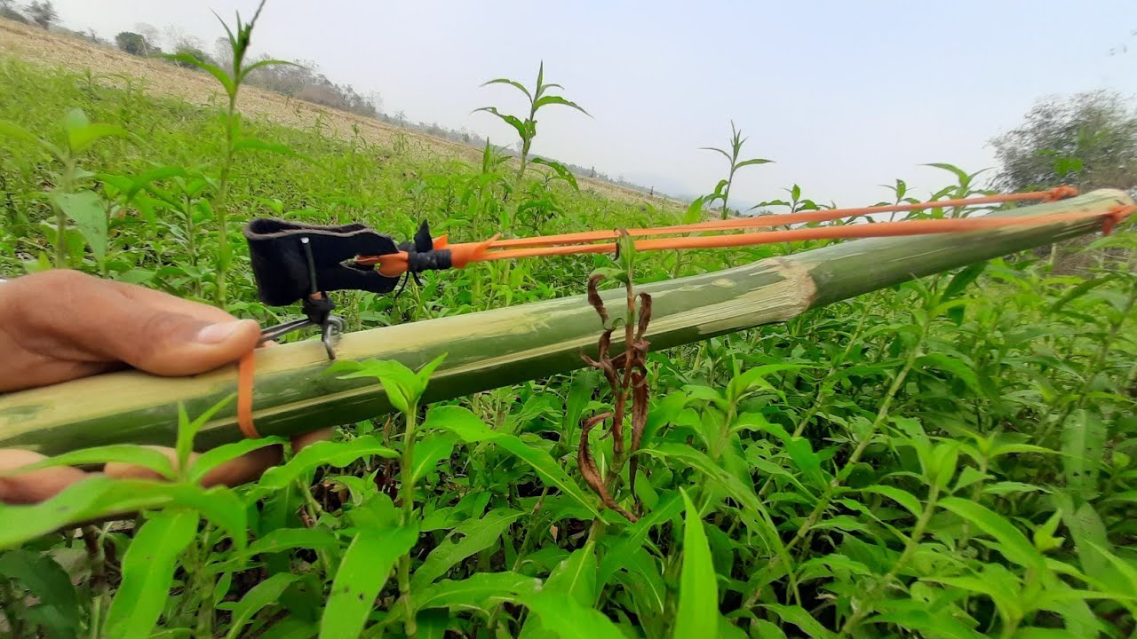 Gun making slingshot bamboo - YouTube