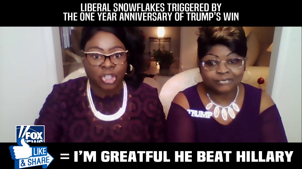 Liberal Snowflakes Triggered By The One Year Anniversary Of Trump's Win ...