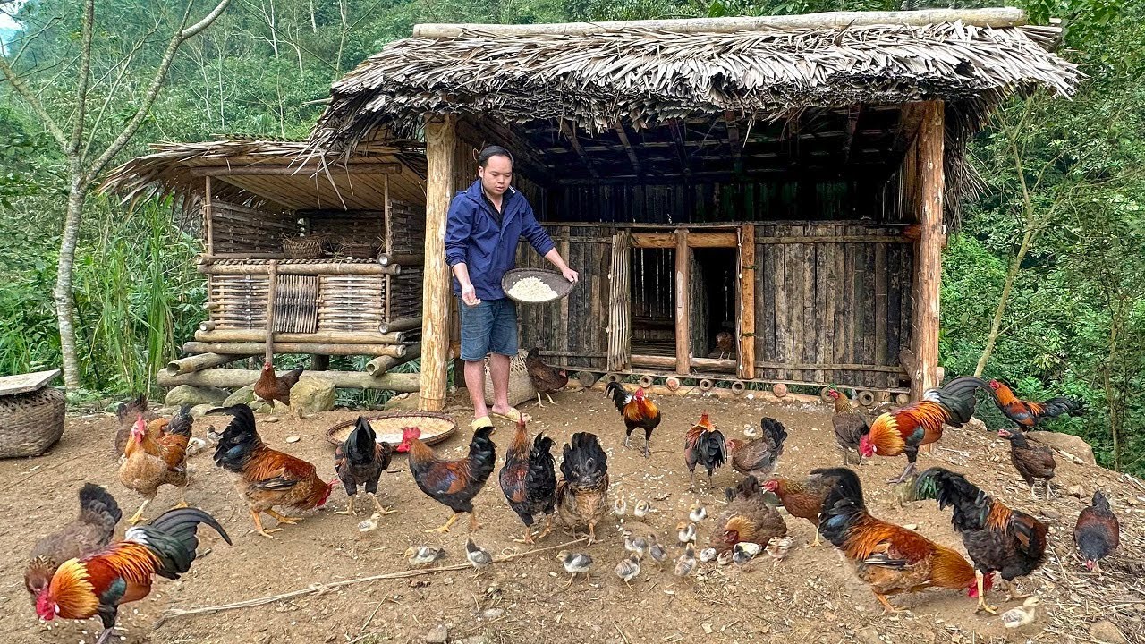 Chicken Coops Made From bamboo Pallets | Build shelter for chicken ...