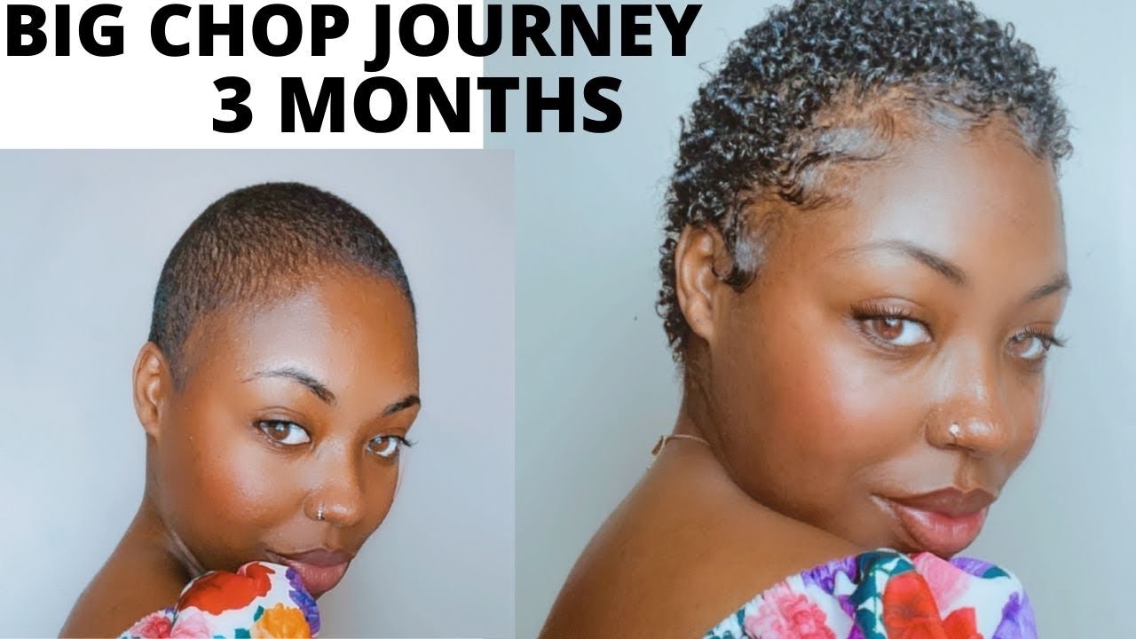 BIG CHOP JOURNEY// 3 MONTHS// Last (weekly) update - YouTube