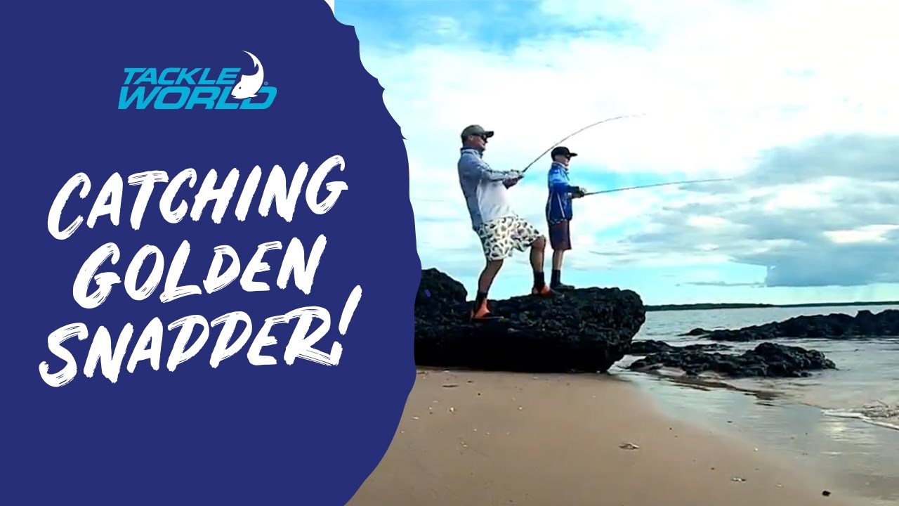 Catching Golden Snapper In The Wild North - YouTube