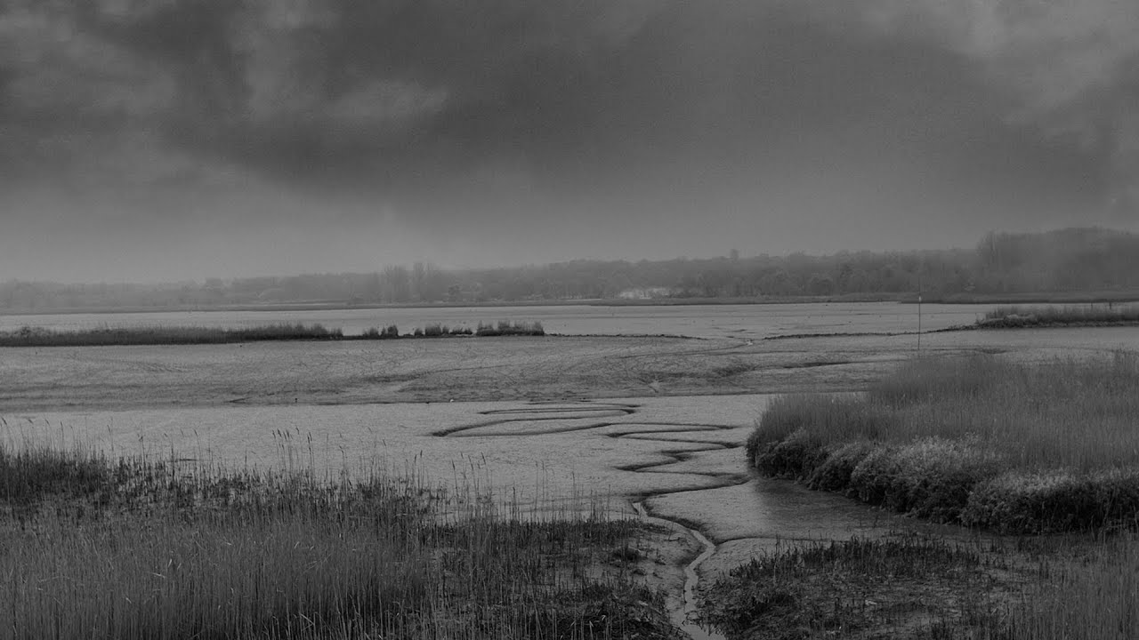 Nick Drake - River Man - YouTube