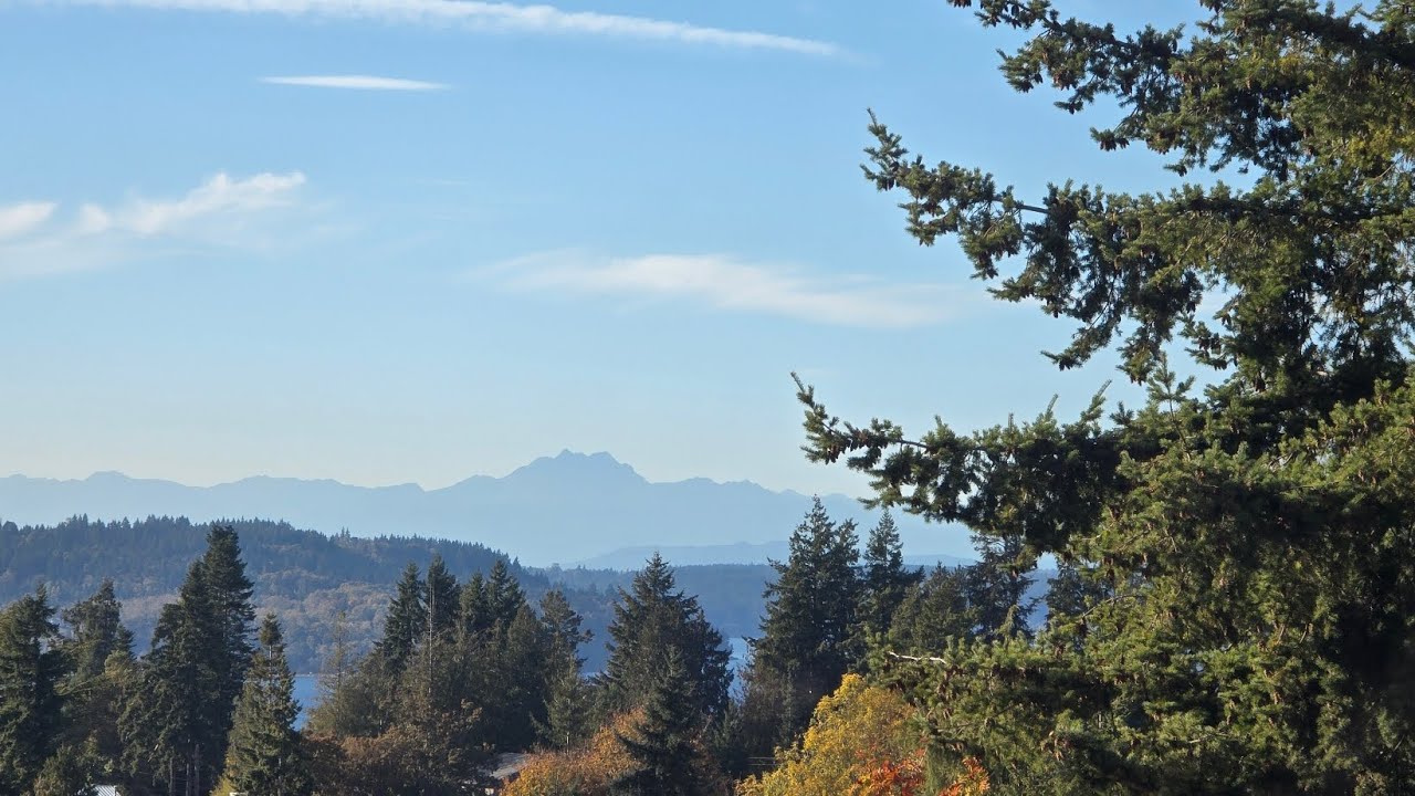 PNW Fall Drive | Crisp Air, Golden Trees and Mountain Views! - YouTube