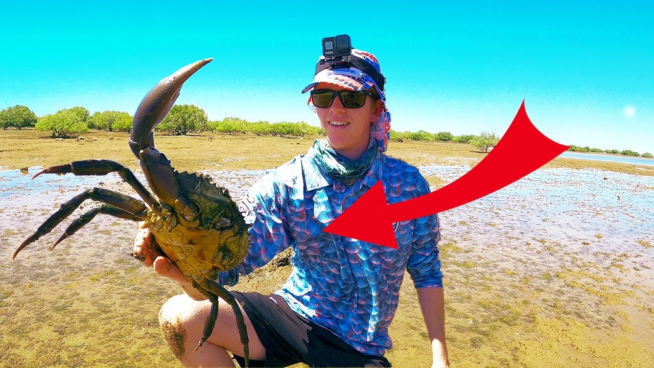 Catching Monster Mudcrab with my BARE HANDS | Fishing hook in hand ...