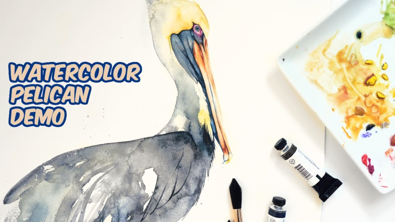 Pelican Watercolor For Beginners