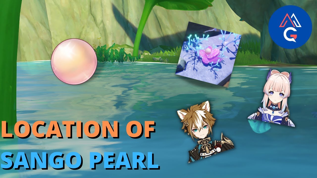 LOCATION OF SANGO PEARL GENSHIN IMPACT - YouTube